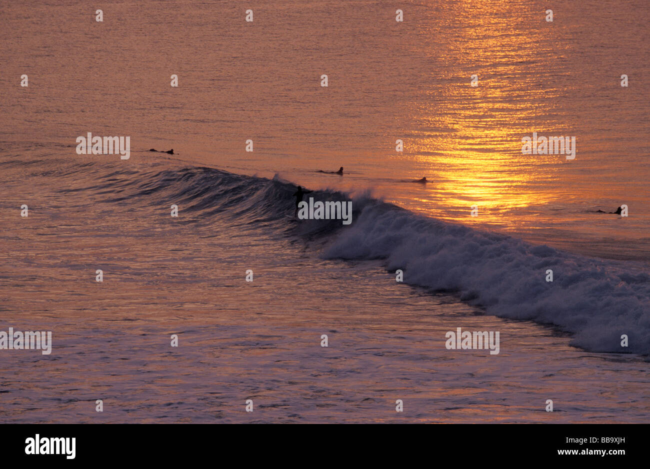 Surf board riders sunrise hi-res stock photography and images - Alamy