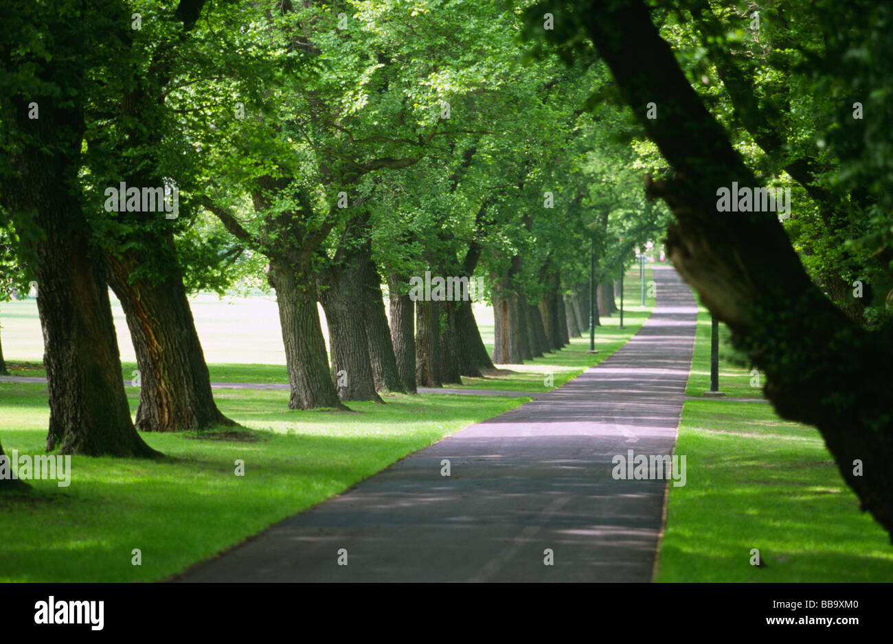 Pathway Fawkner Park Melbourne Victoria Australia Stock Photo - Alamy