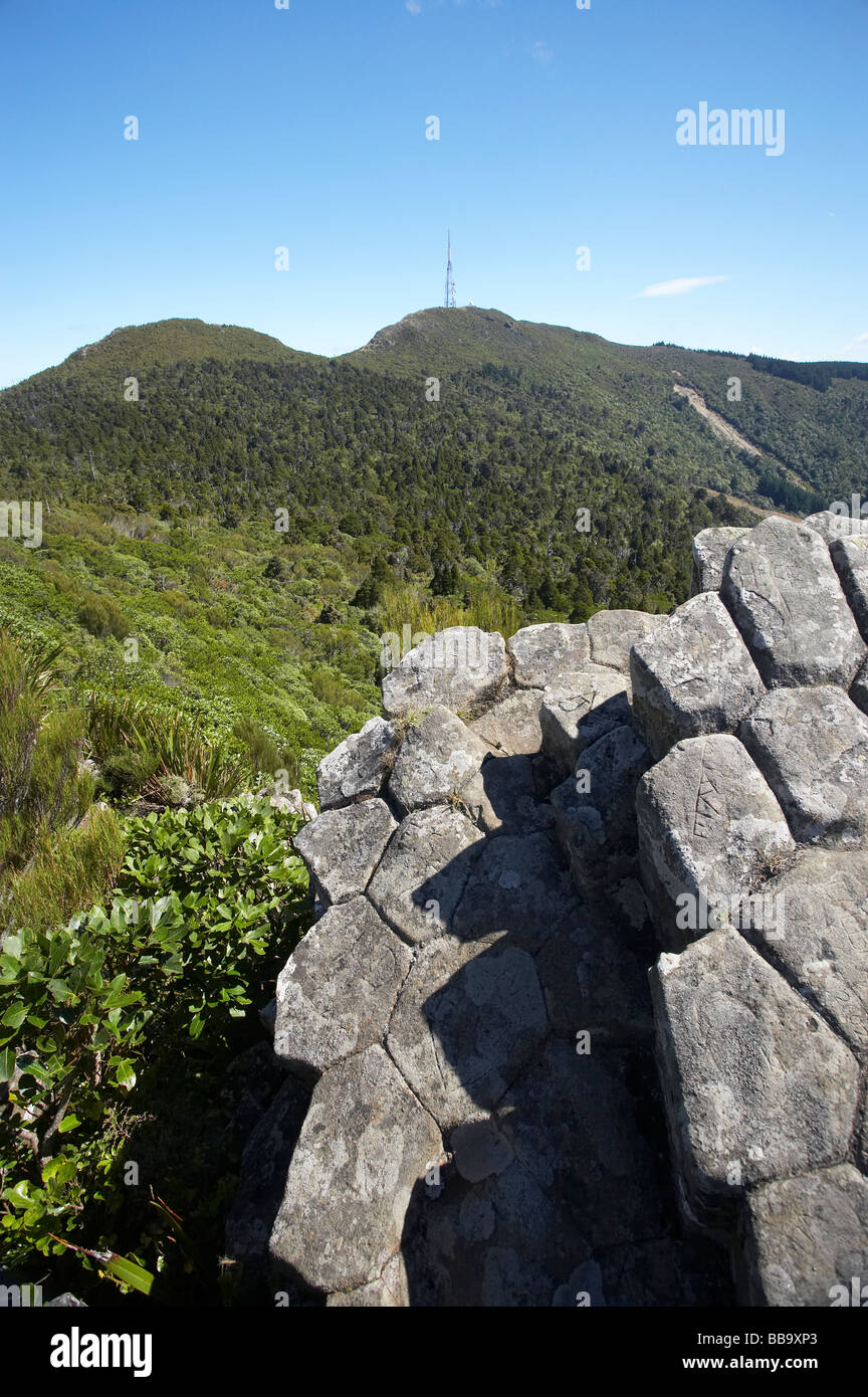 The Organ Pipes volcanic basalt rock columns Mt Cargill Dunedin Otago ...