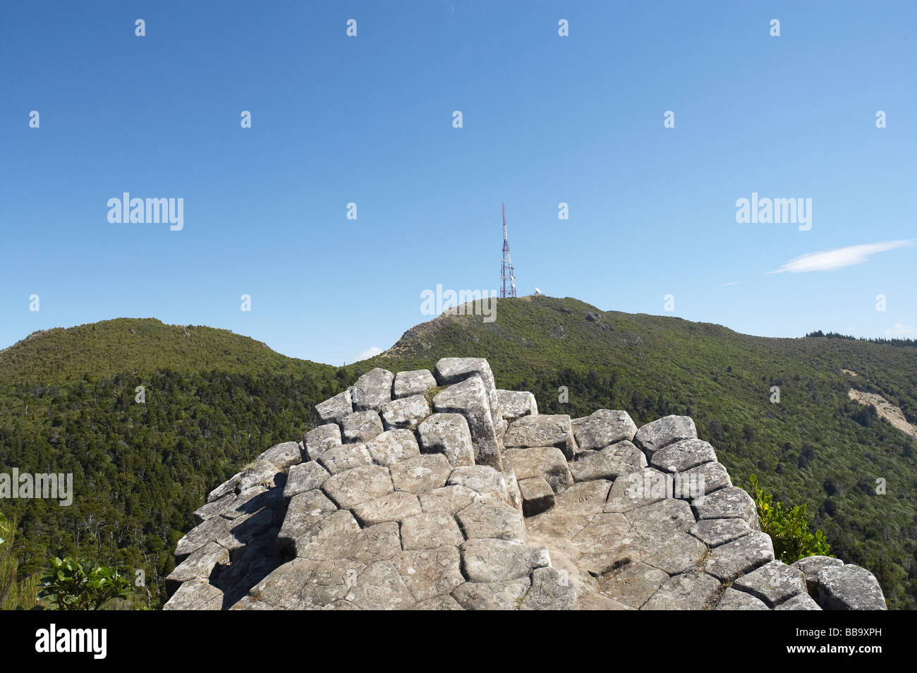 The Organ Pipes volcanic basalt rock columns Mt Cargill Dunedin Otago ...