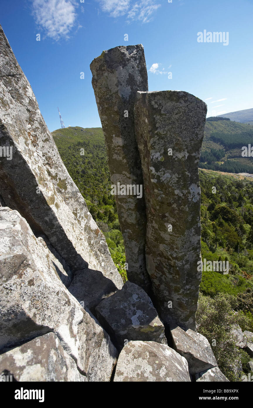 The Organ Pipes volcanic basalt rock columns Mt Cargill Dunedin Otago ...