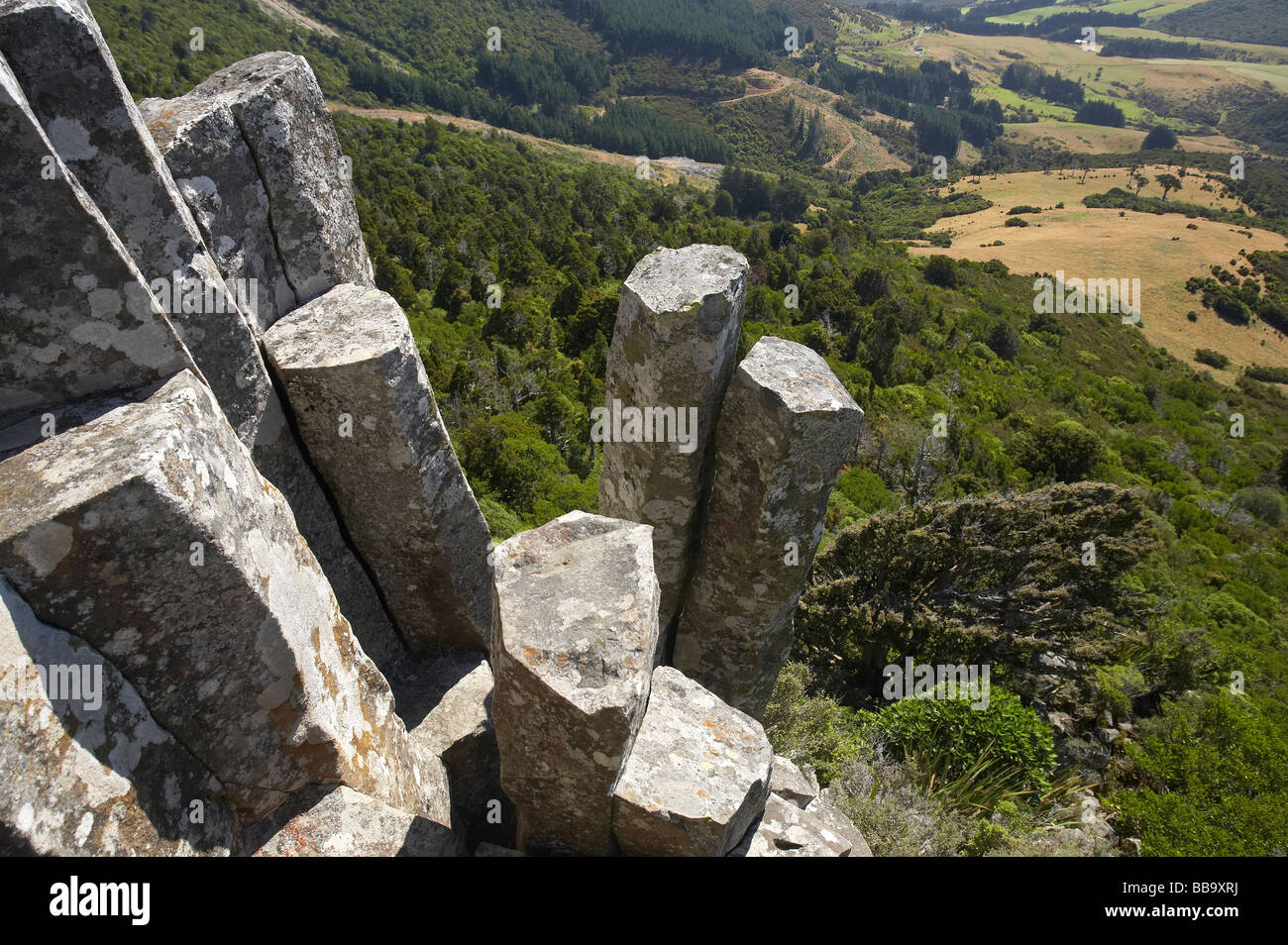 The Organ Pipes volcanic basalt rock columns Mt Cargill Dunedin Otago ...