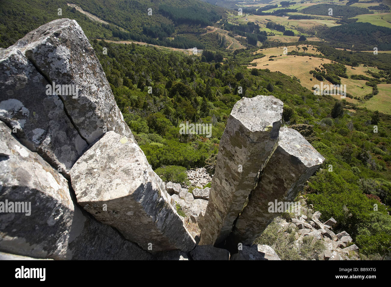 The Organ Pipes volcanic basalt rock columns Mt Cargill Dunedin Otago ...