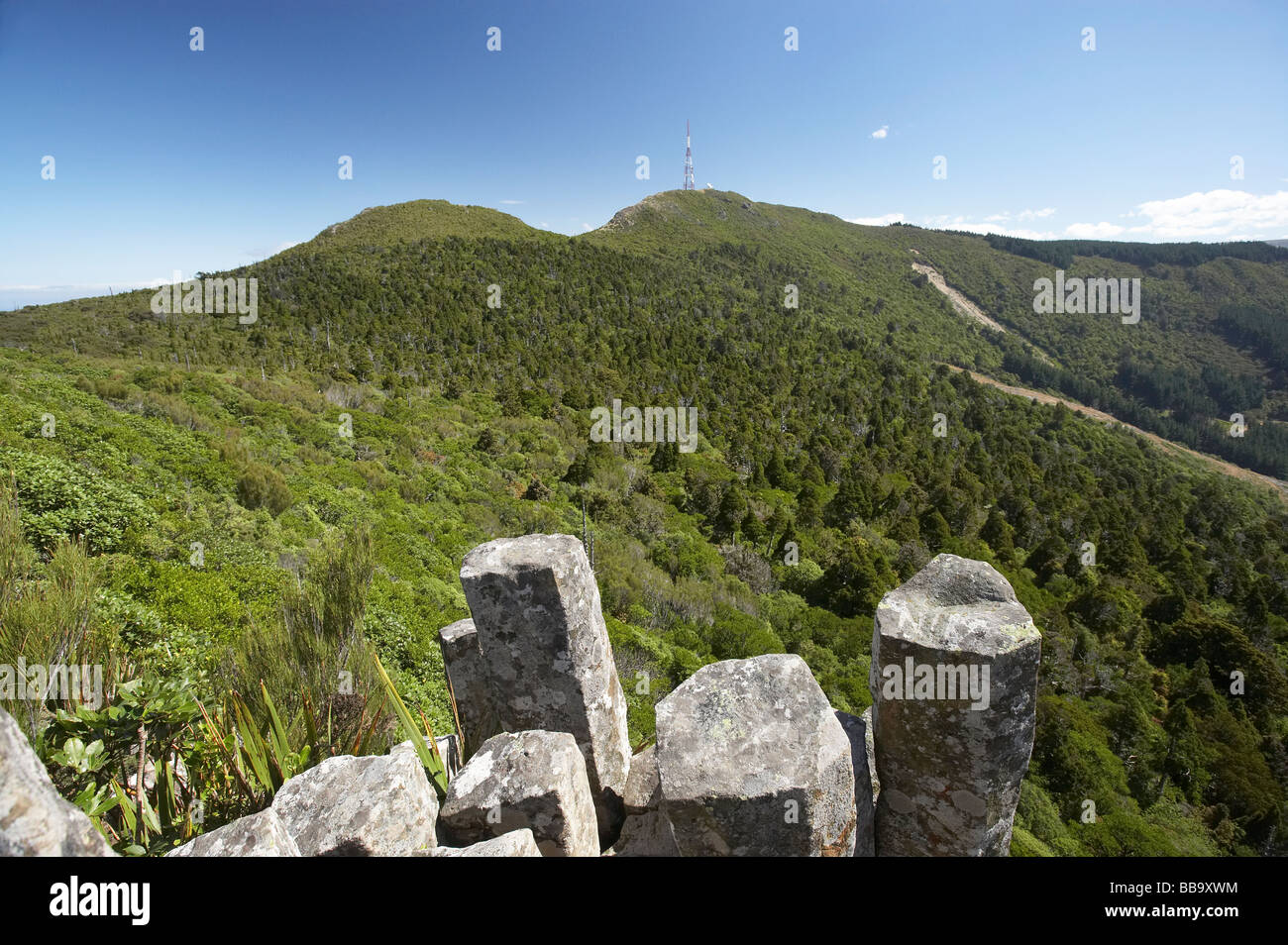 Dunedin column hi-res stock photography and images - Alamy