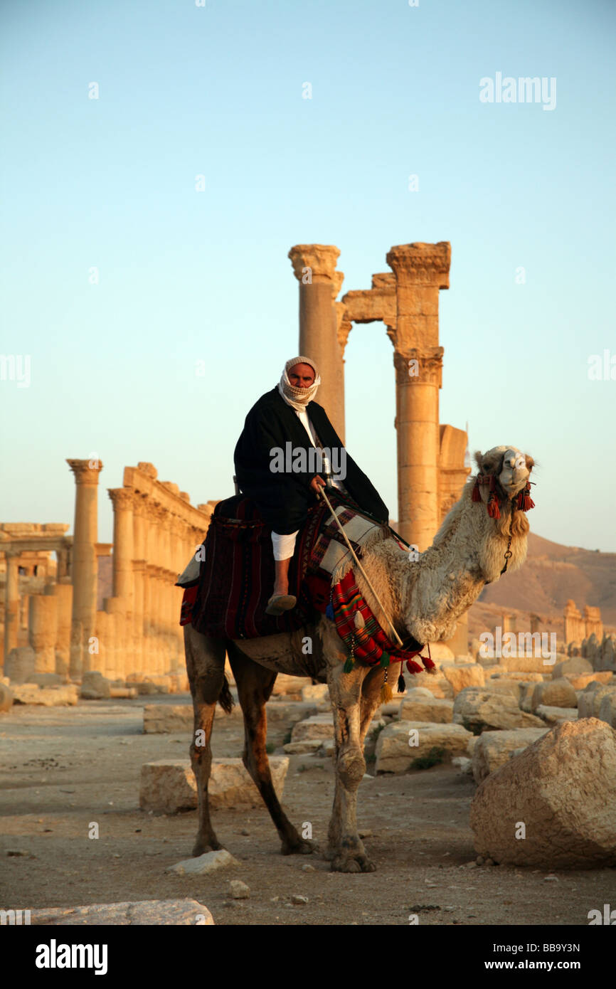 Camel with rider hi-res stock photography and images - Alamy