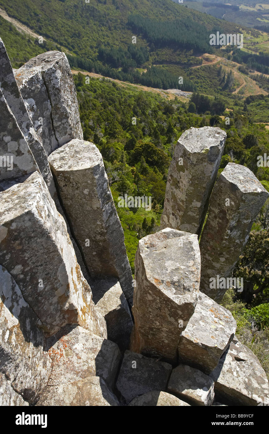 The Organ Pipes volcanic basalt rock columns Mt Cargill Dunedin Otago ...