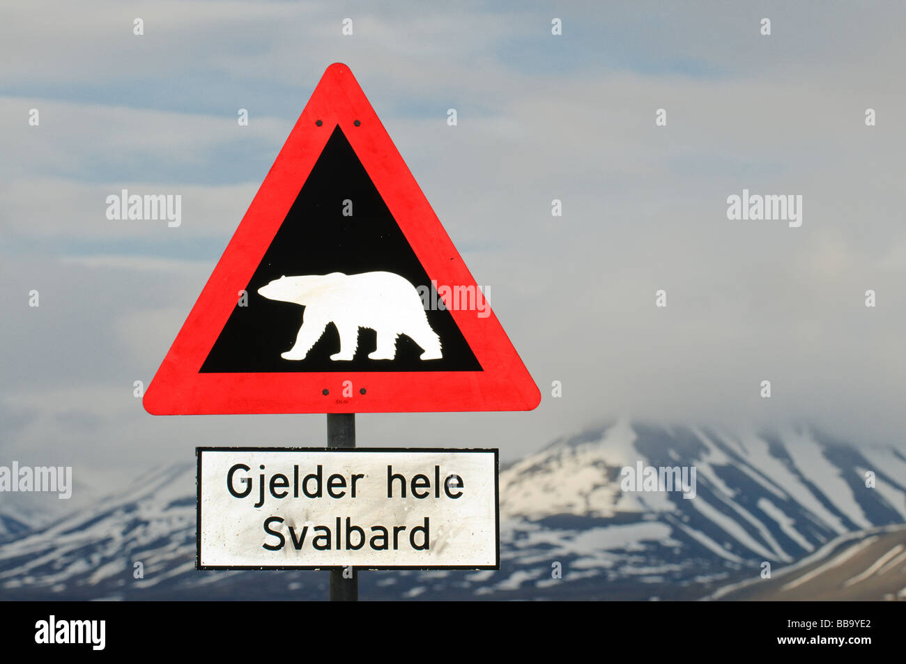 Road danger sign warning about polar bear attacks Longyearbyen Svalbard ...