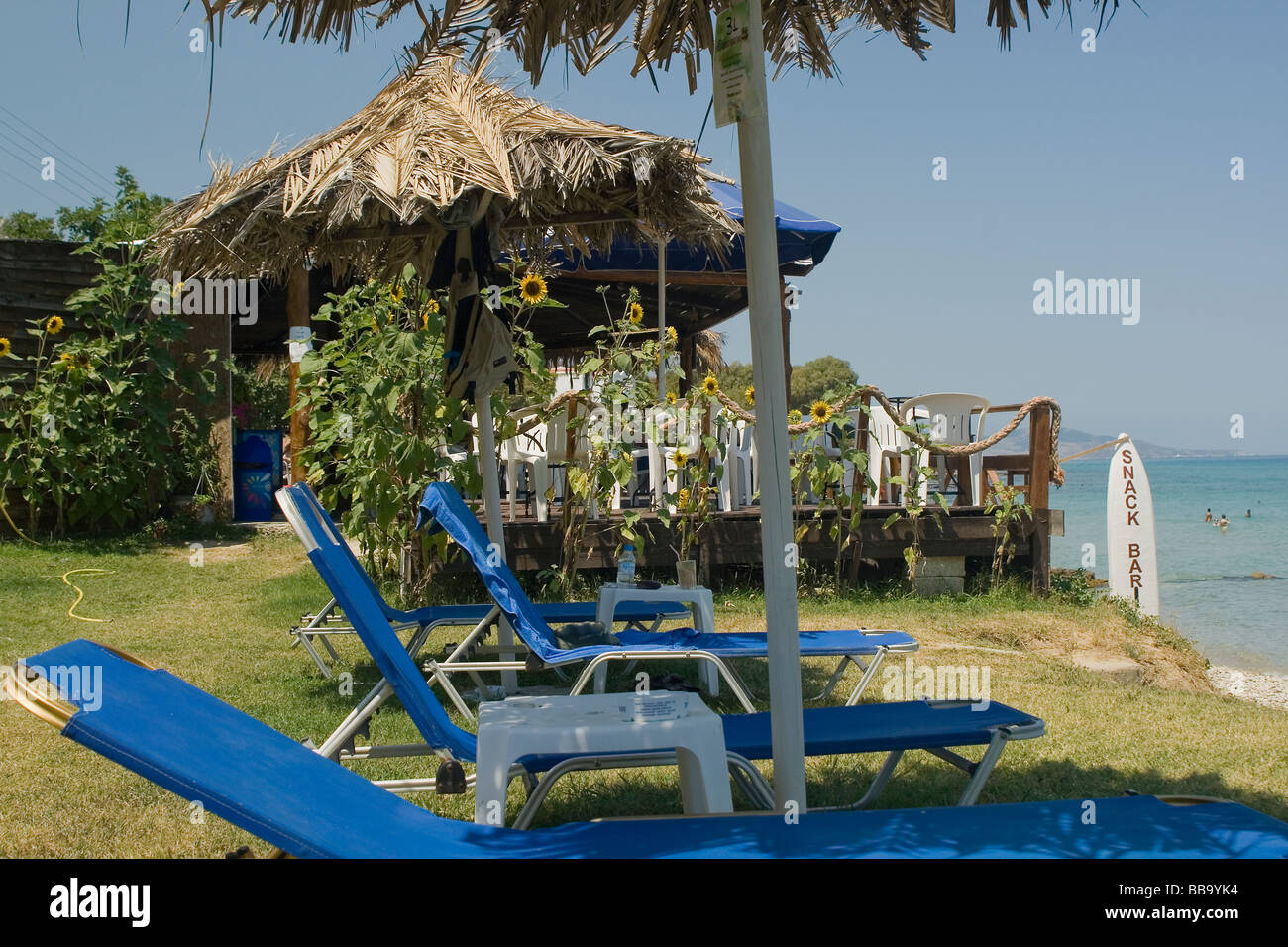 A Beach Bar surrounded by Sunflowers Stock Photo - Alamy
