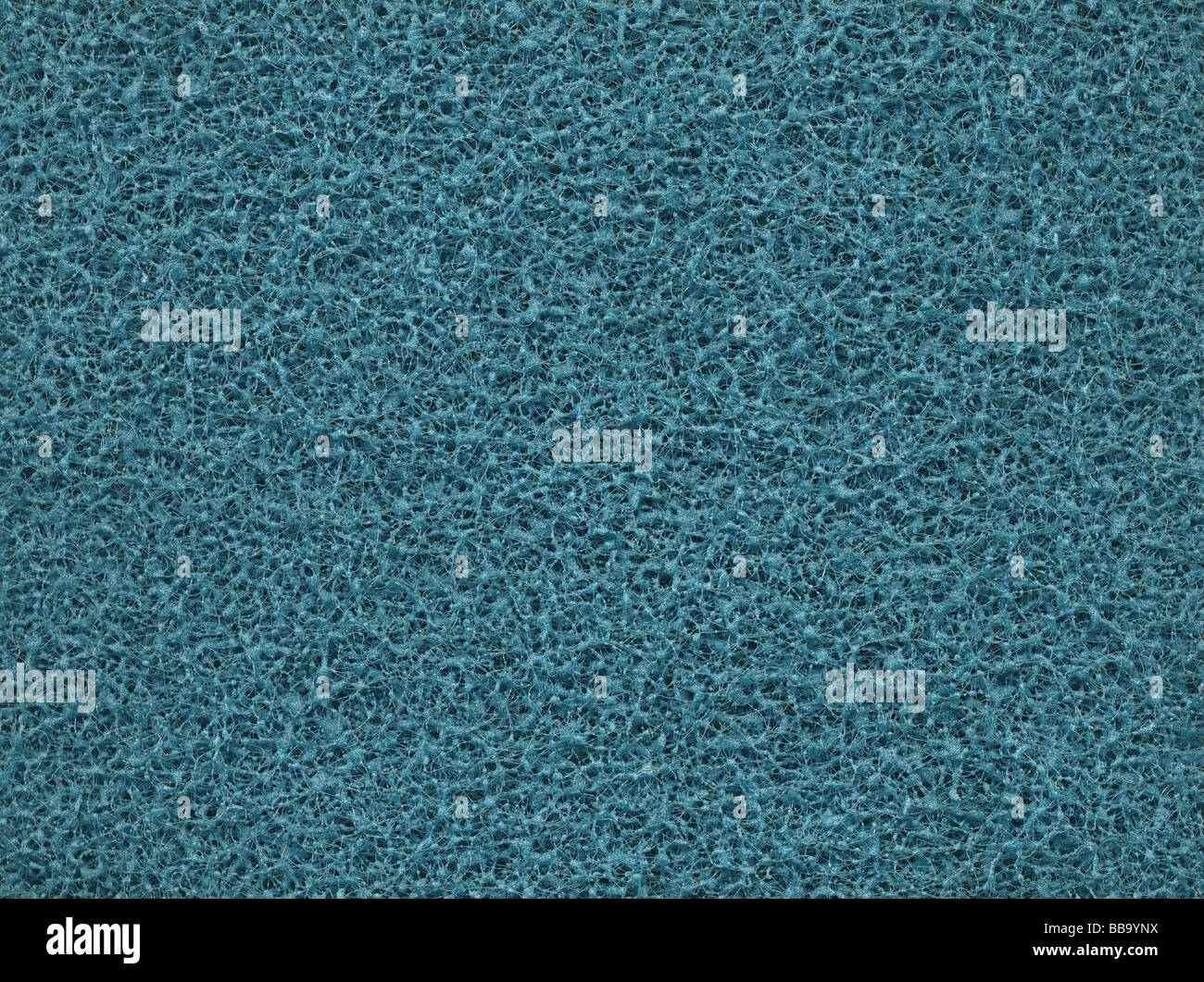Sponge like structure hi-res stock photography and images - Alamy