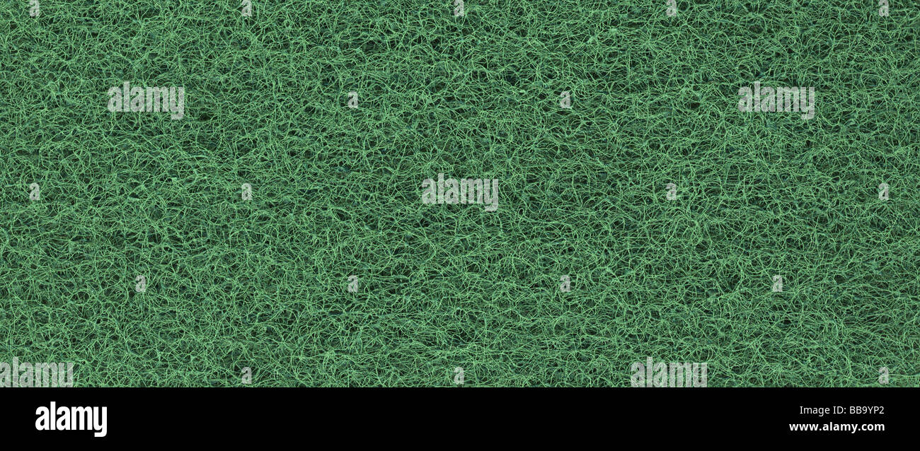 Sponge like structure hi-res stock photography and images - Alamy