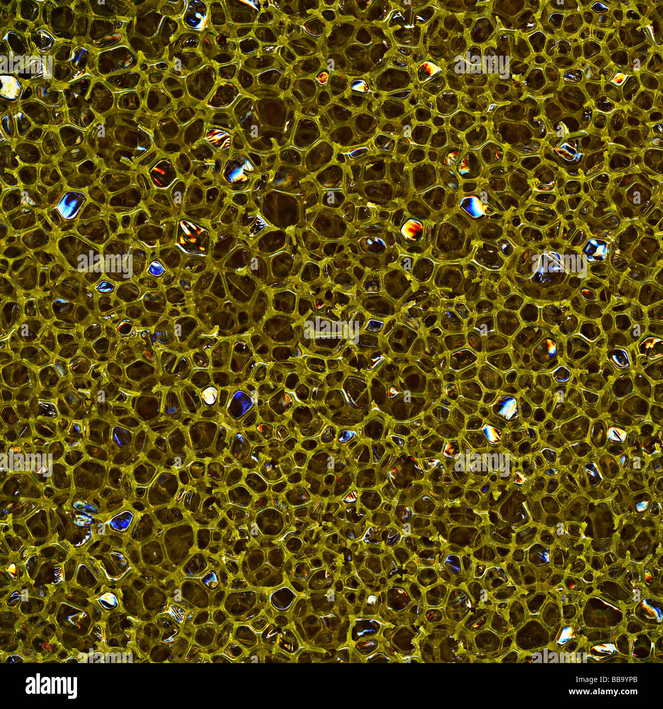 Porous membrane hi-res stock photography and images - Alamy