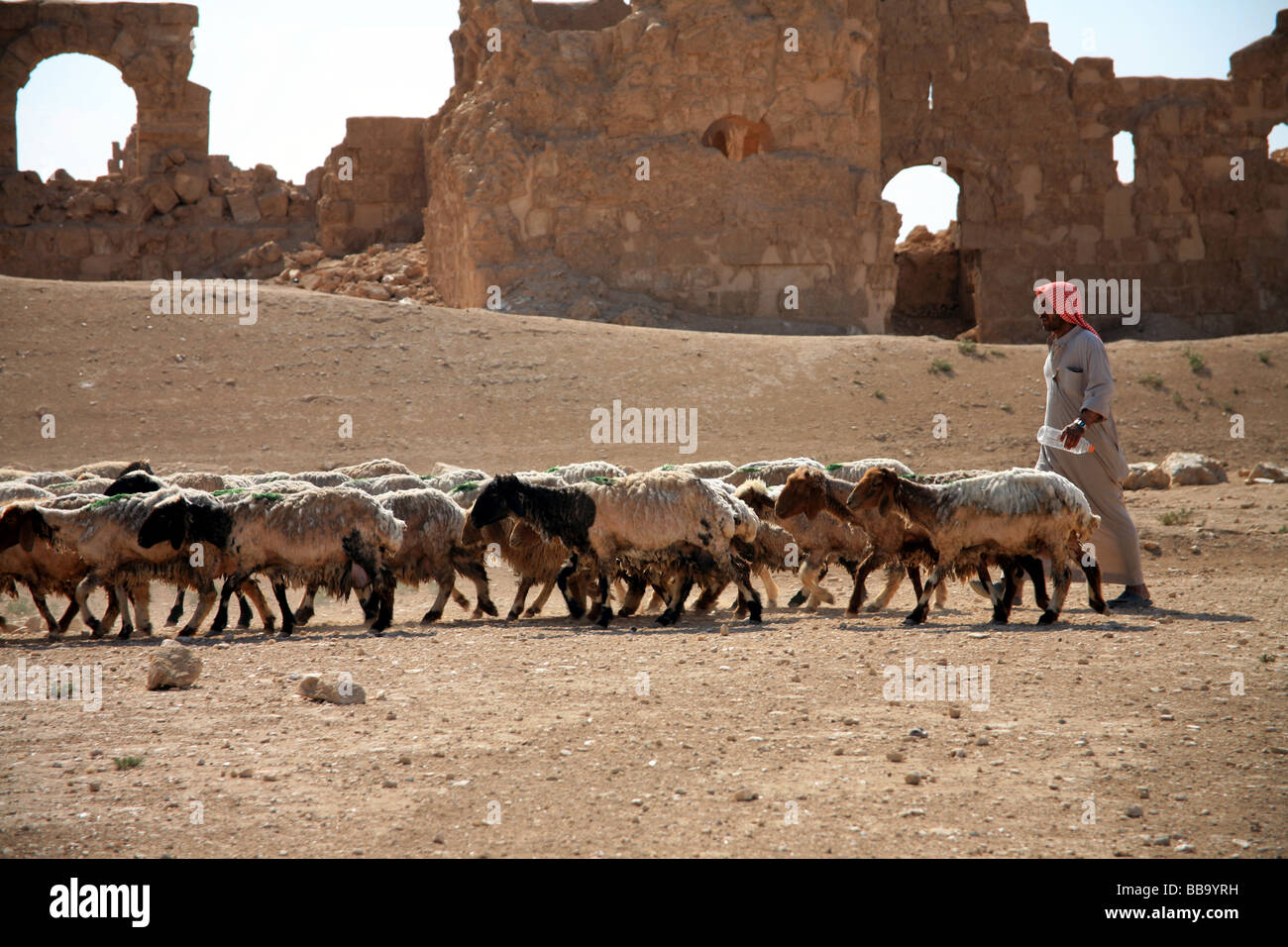 Assyrian walls hi-res stock photography and images - Alamy