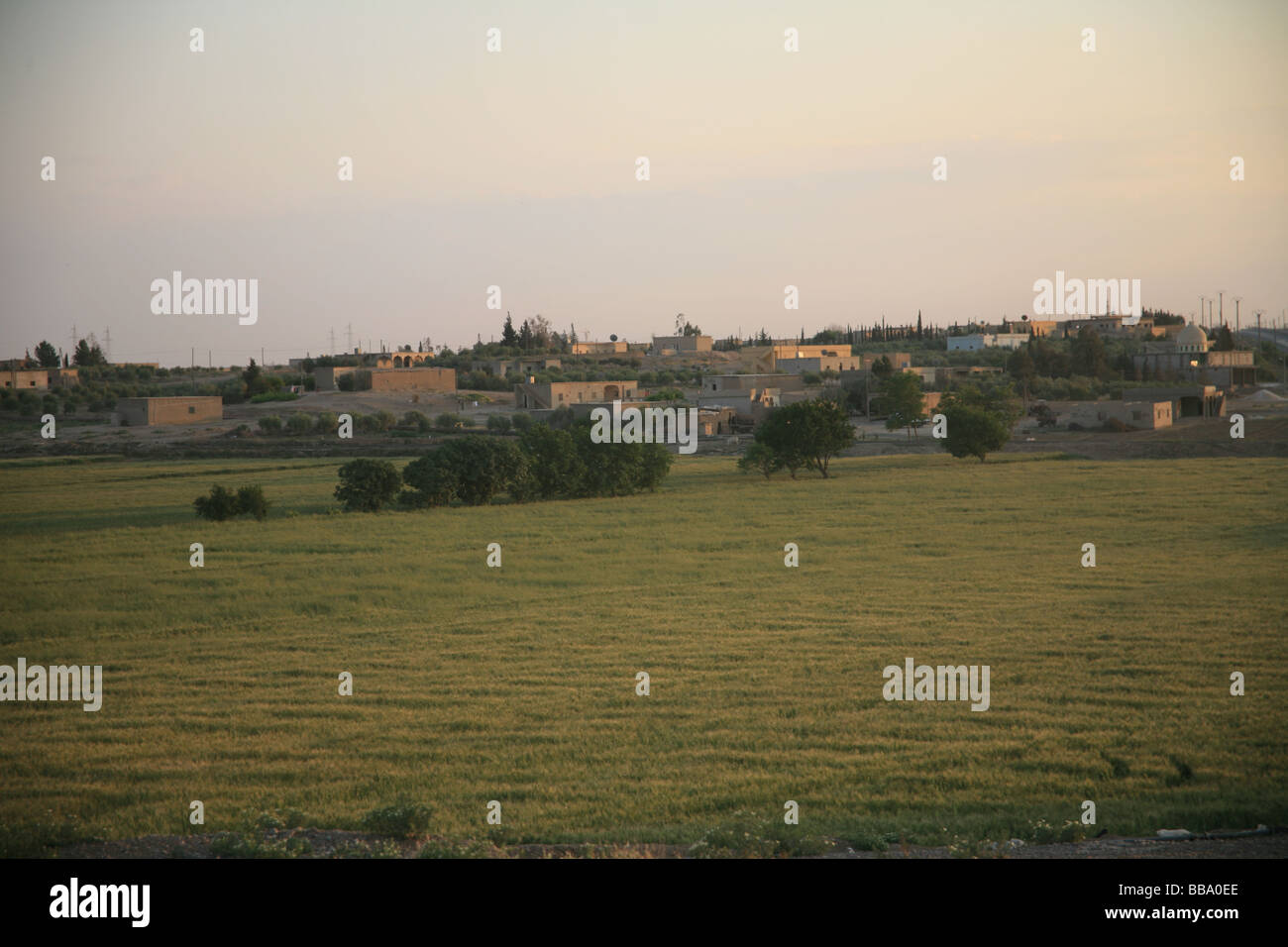Syria farming hi-res stock photography and images - Alamy