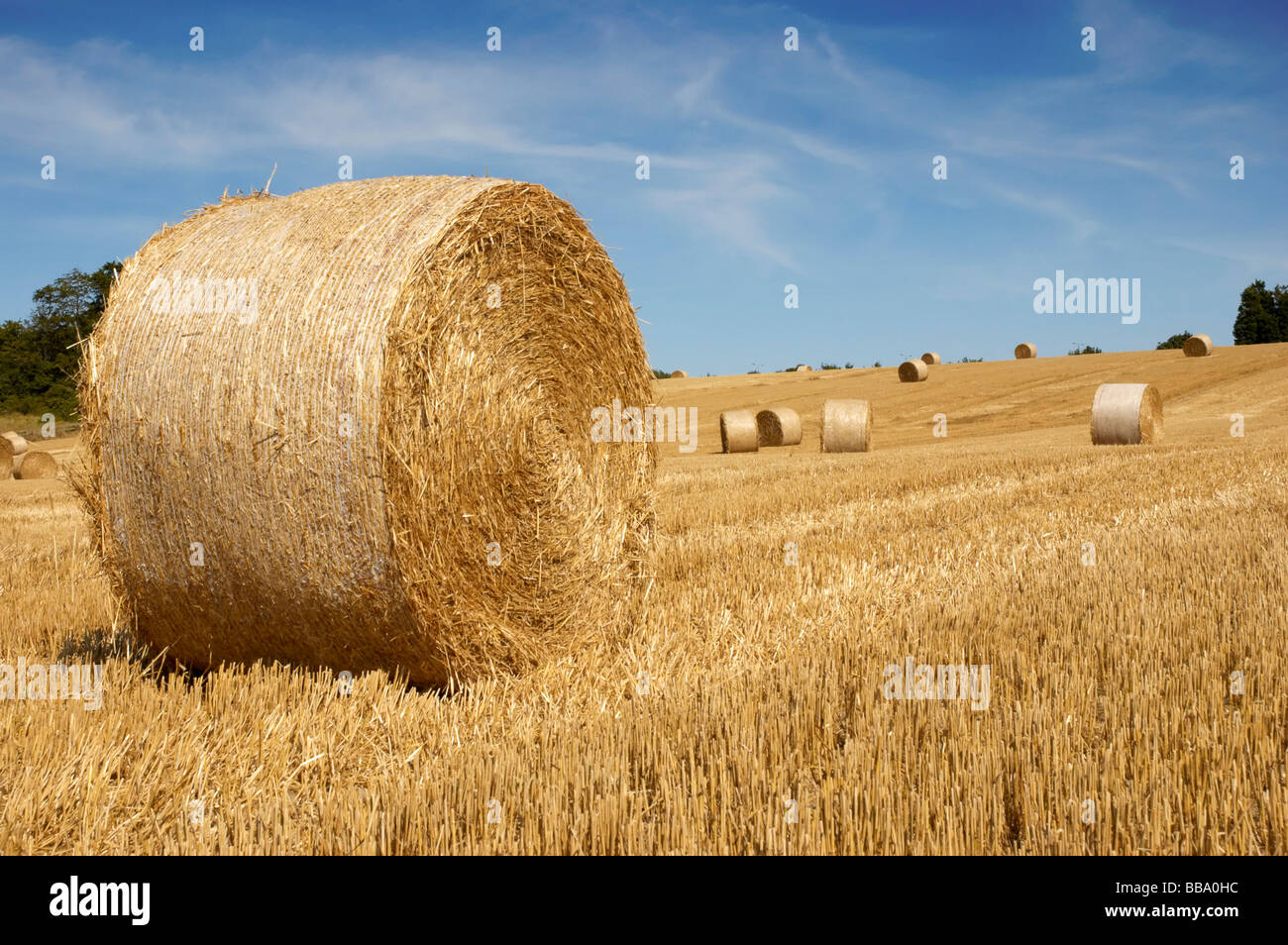 summer landscape with hay bales and deep blue skyscape Stock Photo - Alamy