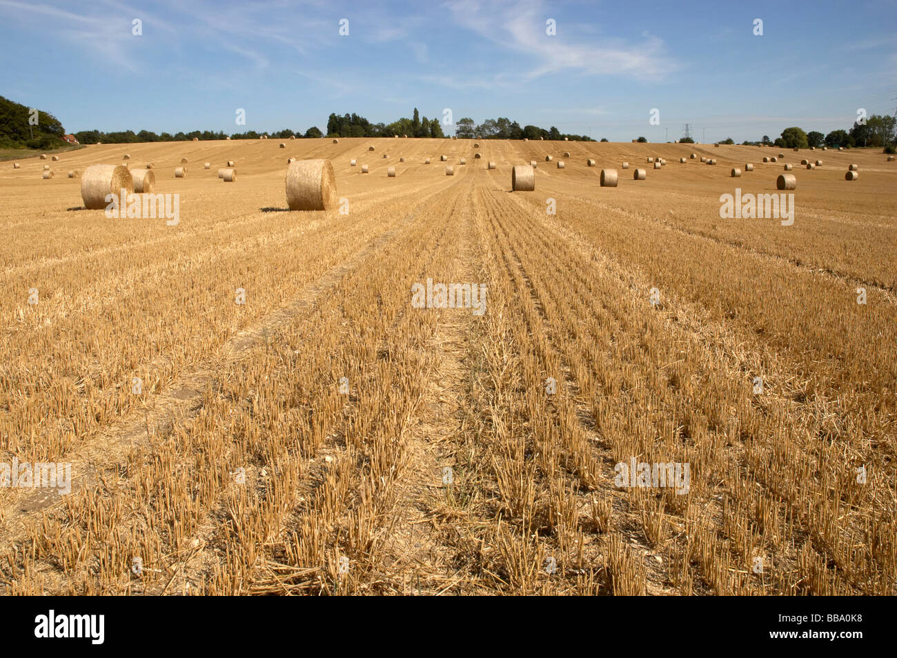 summer landscape with hay bales and deep blue skyscape Stock Photo - Alamy
