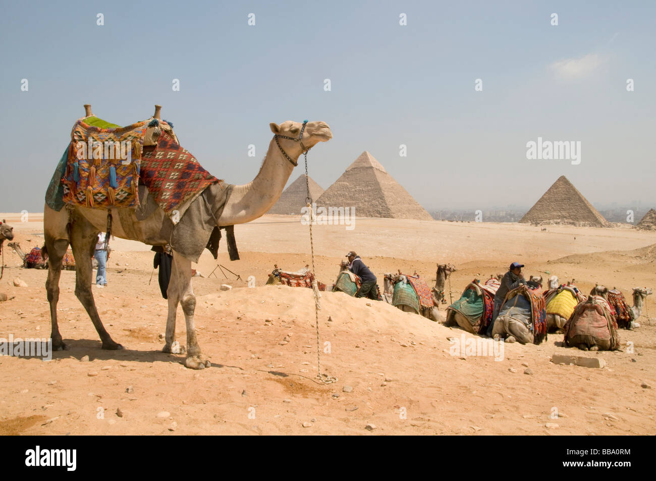 Egyptian pyramids tourists hi-res stock photography and images - Alamy