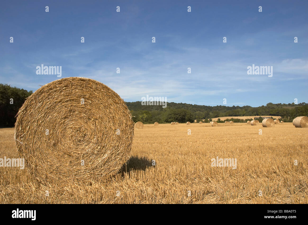 summer landscape with hay bales and deep blue skyscape Stock Photo - Alamy
