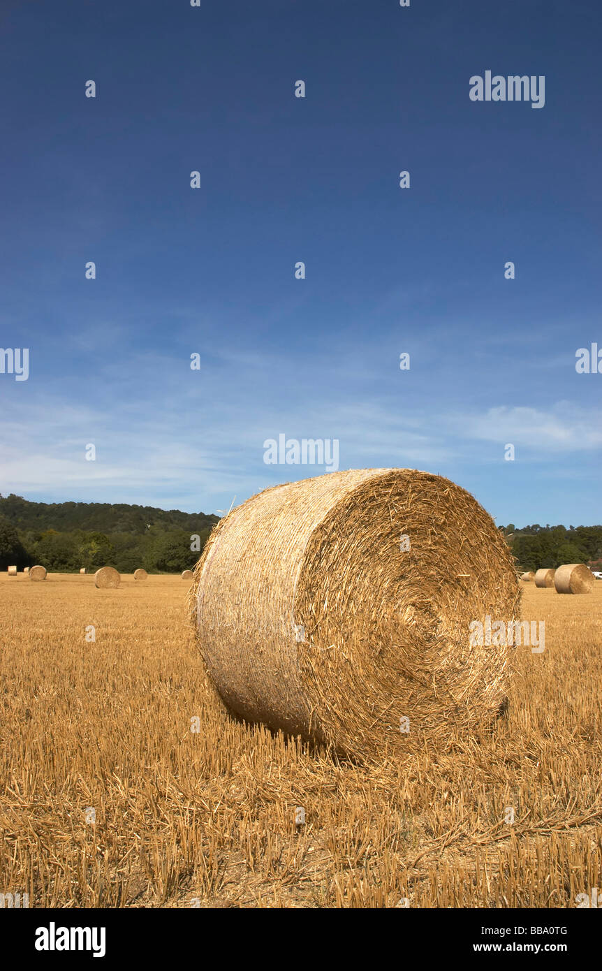 summer landscape with hay bales and deep blue skyscape Stock Photo - Alamy
