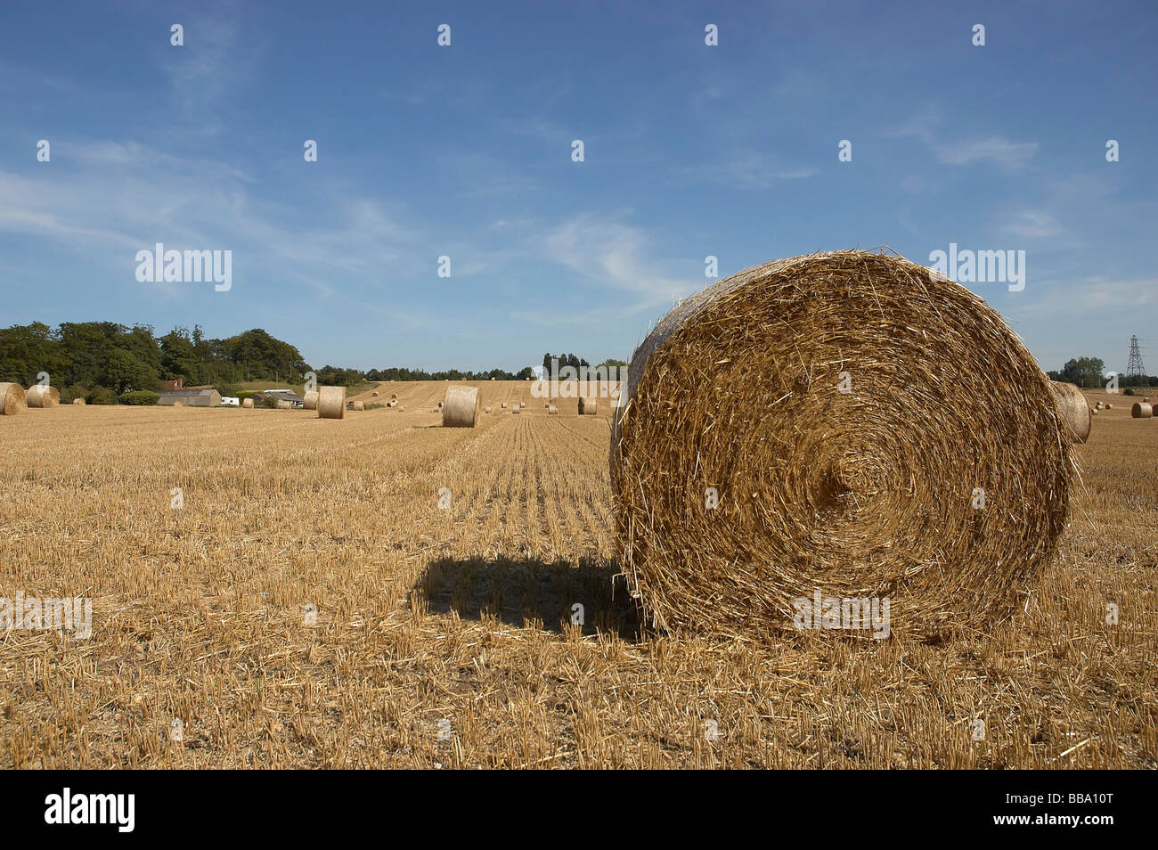 summer landscape with hay bales and deep blue skyscape Stock Photo - Alamy