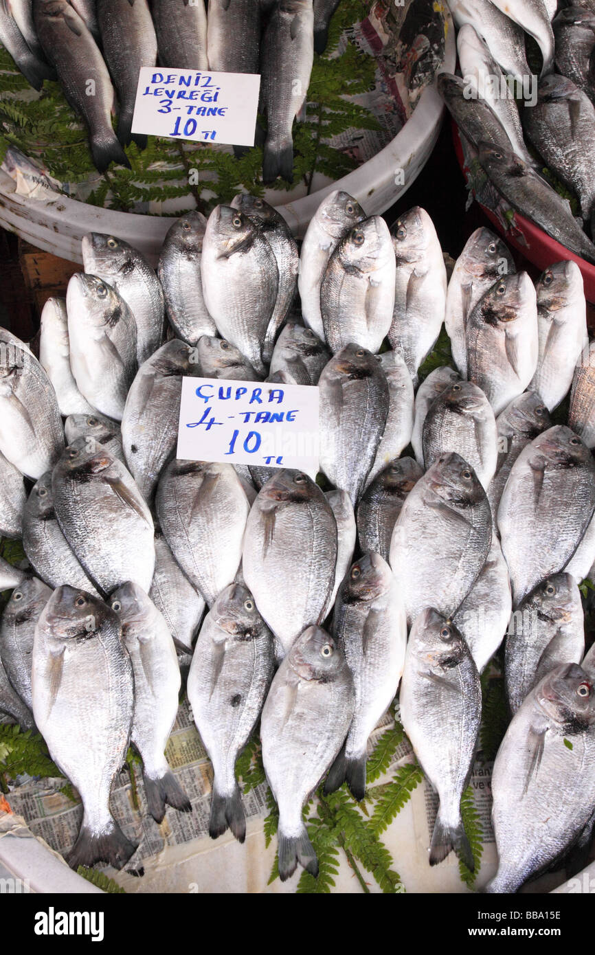 Istanbul Turkey fresh fish for sale at the fish market stall at Karakoy ...