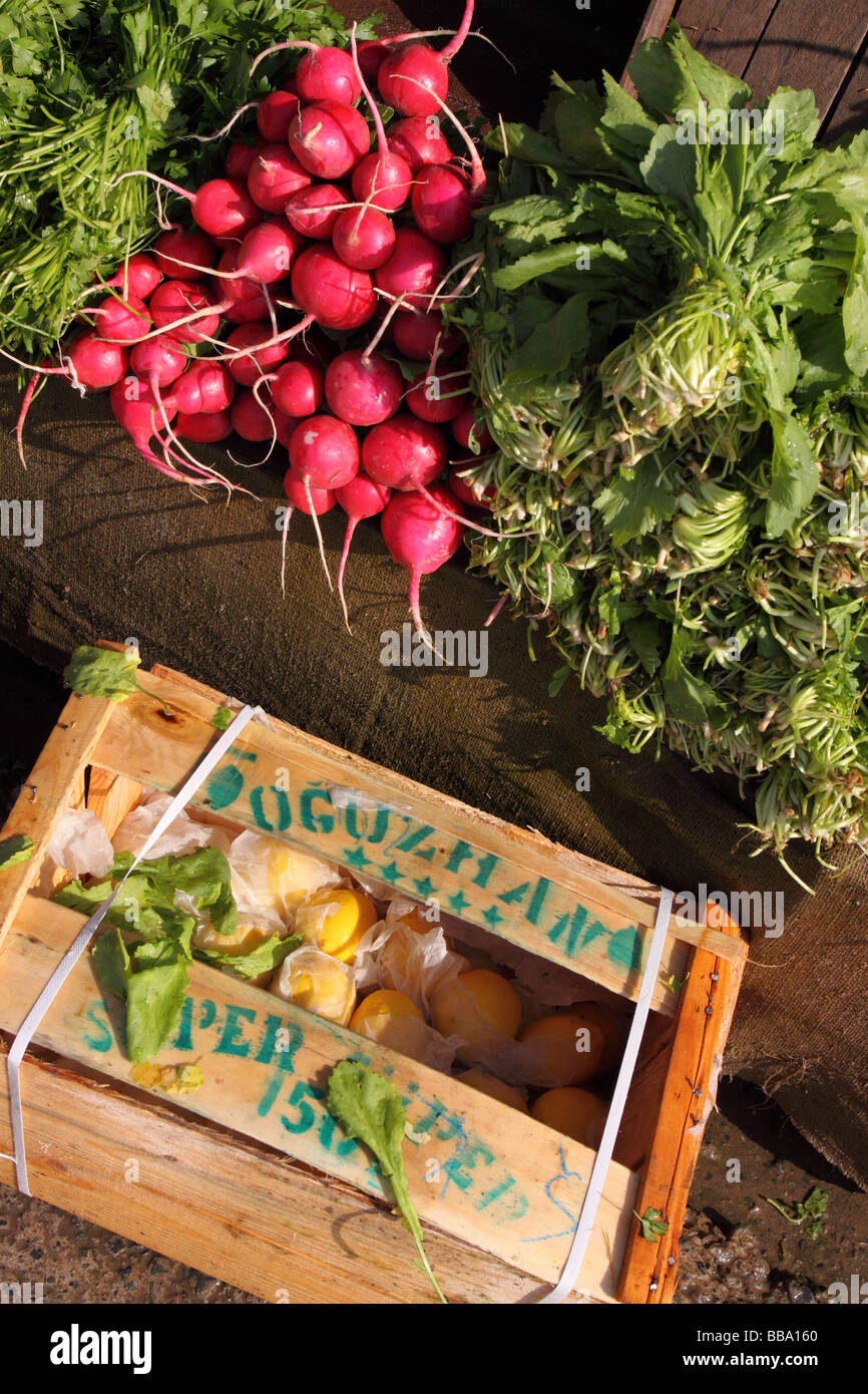 Radish on market stall hi-res stock photography and images - Alamy