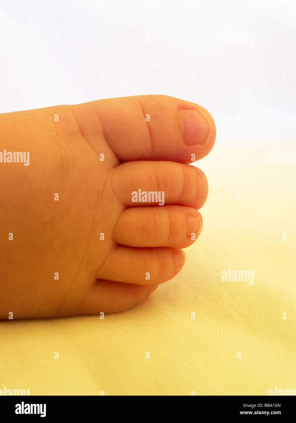 Five toes hi-res stock photography and images - Alamy