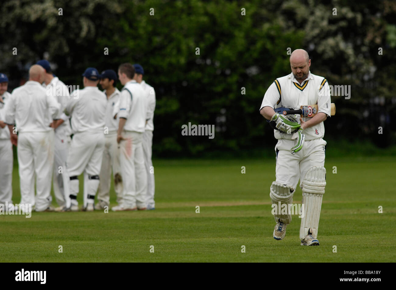 batsman leaves the crease after being given out Stock Photo - Alamy