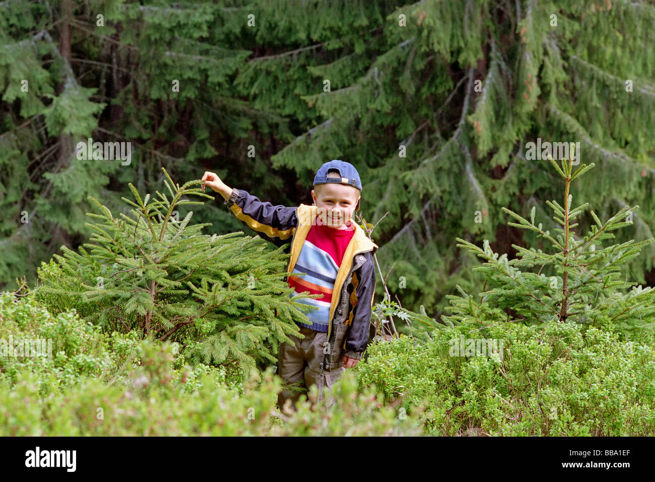 smiling boy in forest reserve Stock Photo - Alamy