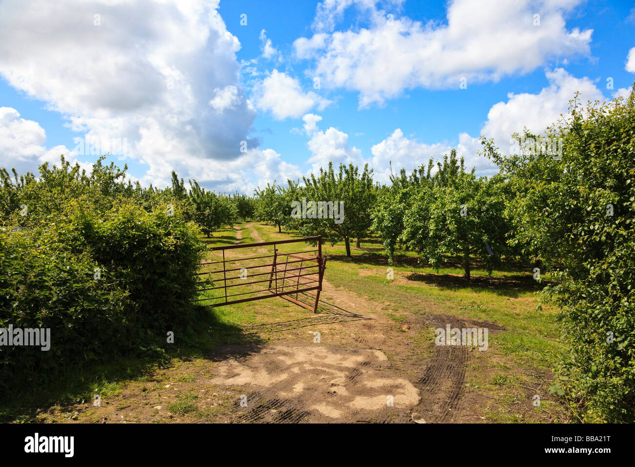 Plaxtol kent hi-res stock photography and images - Alamy