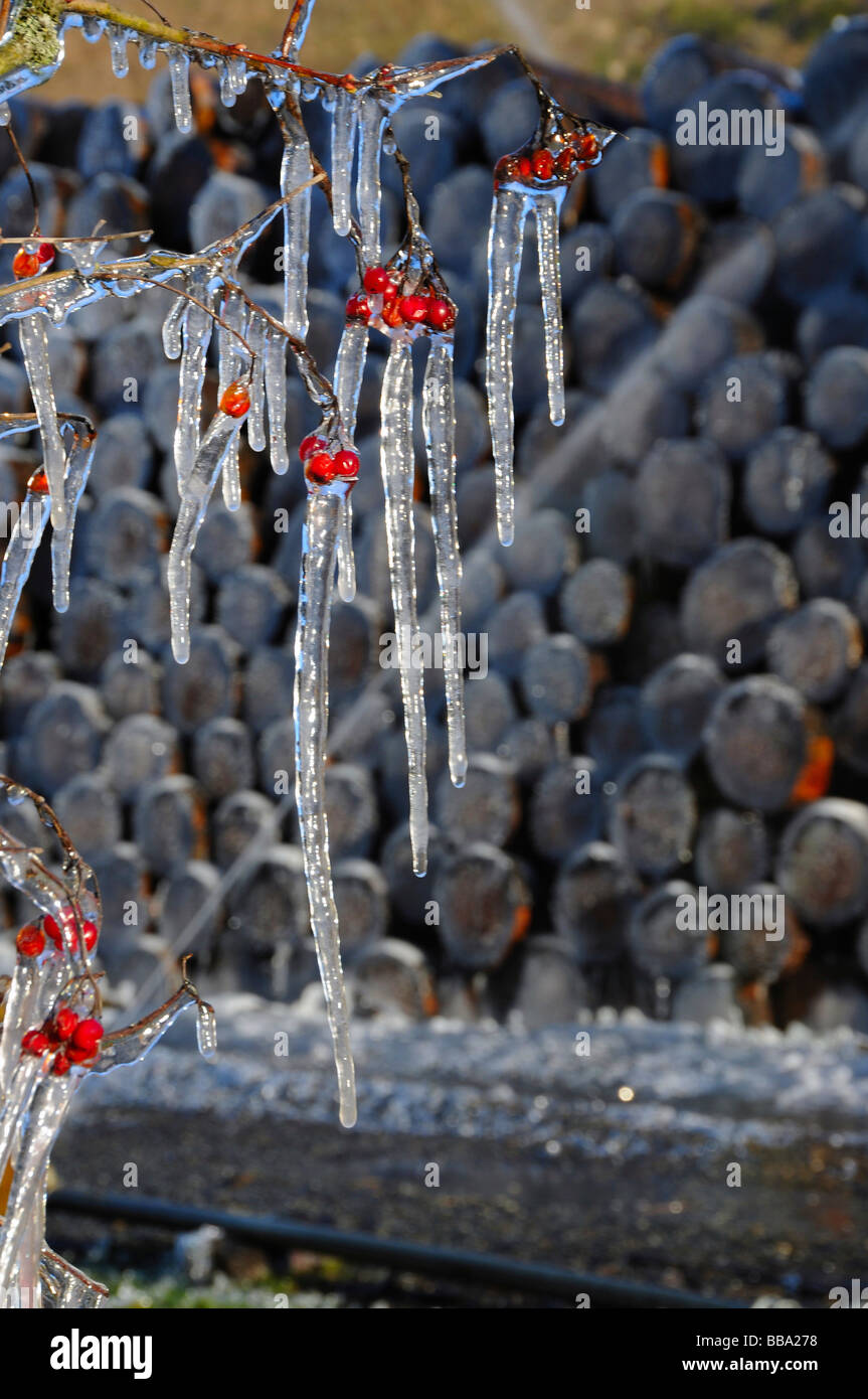 Wind icicles hi-res stock photography and images - Alamy