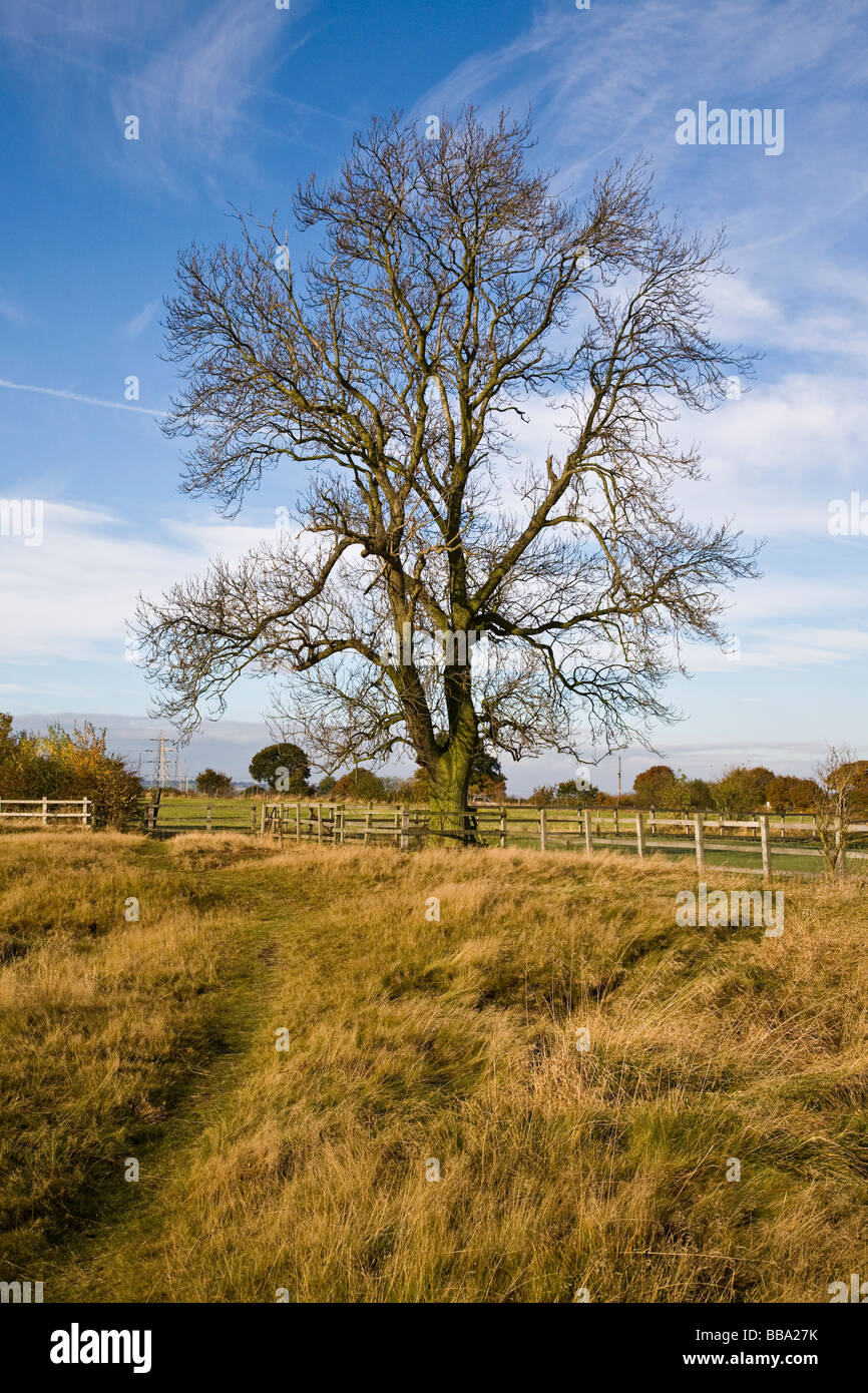 Edge of farmland hi-res stock photography and images - Alamy