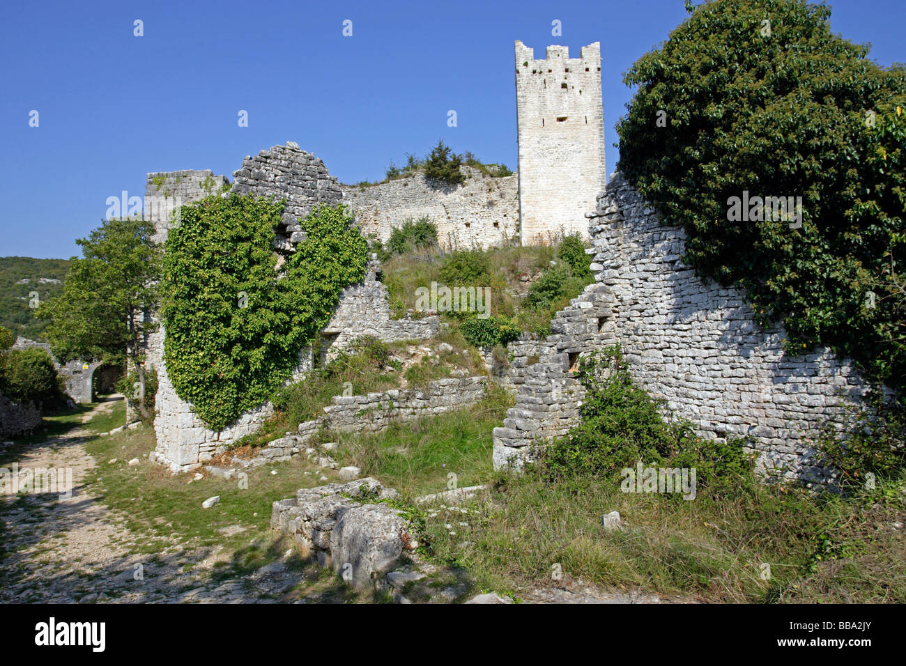 Remains of Dvigrad castle, 17th century, medieval town, Rovinj, Istria ...
