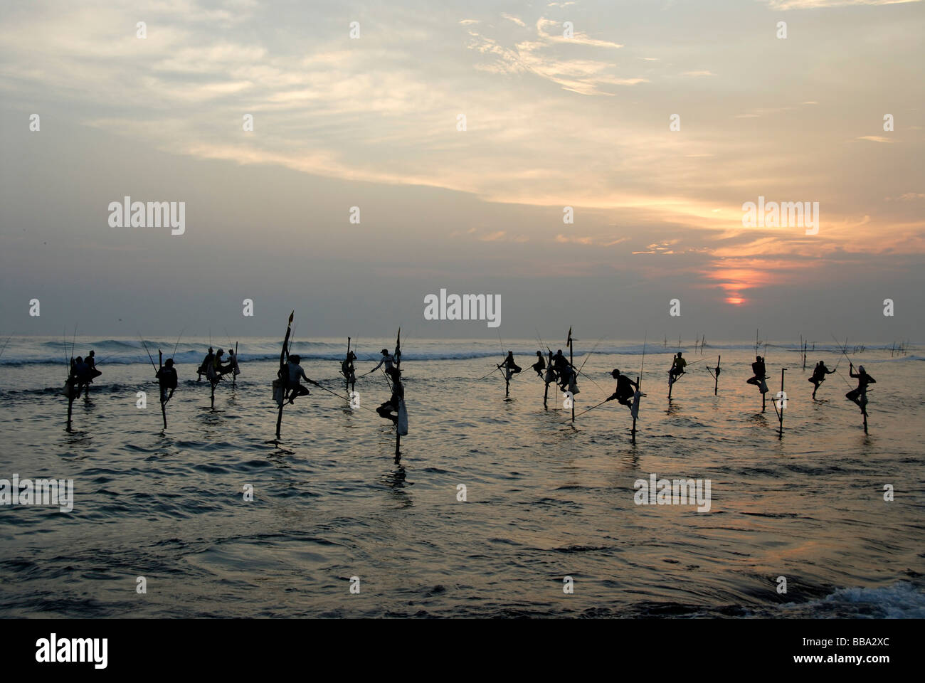Stilt fishermen, sunset, fishermen on stilts fishing in the shallow ...