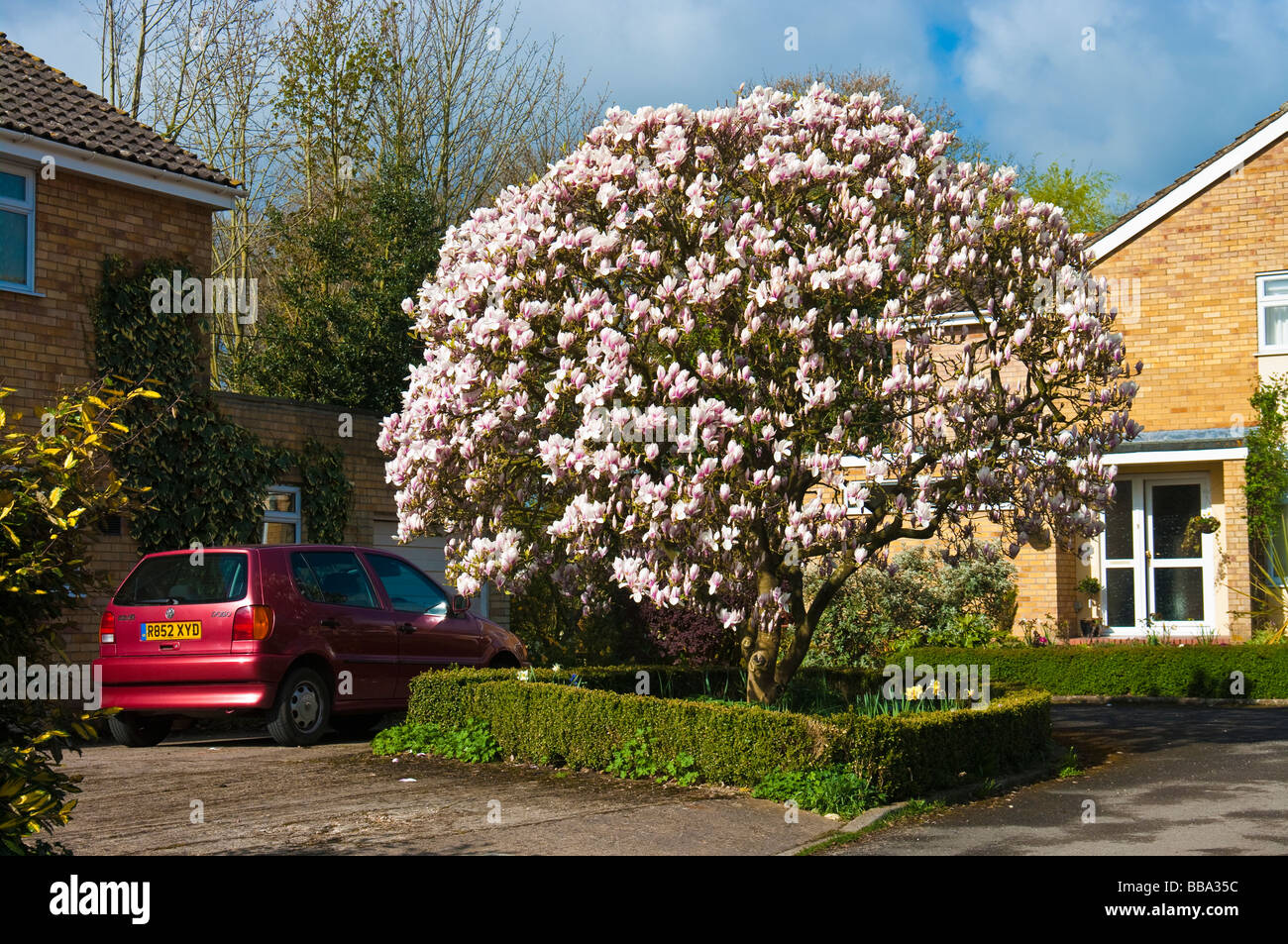 Dome shaped tree hi-res stock photography and images - Alamy