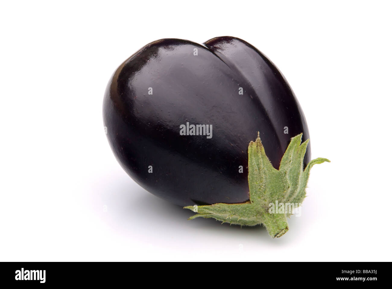 Aubergine tomato plant hi-res stock photography and images - Alamy