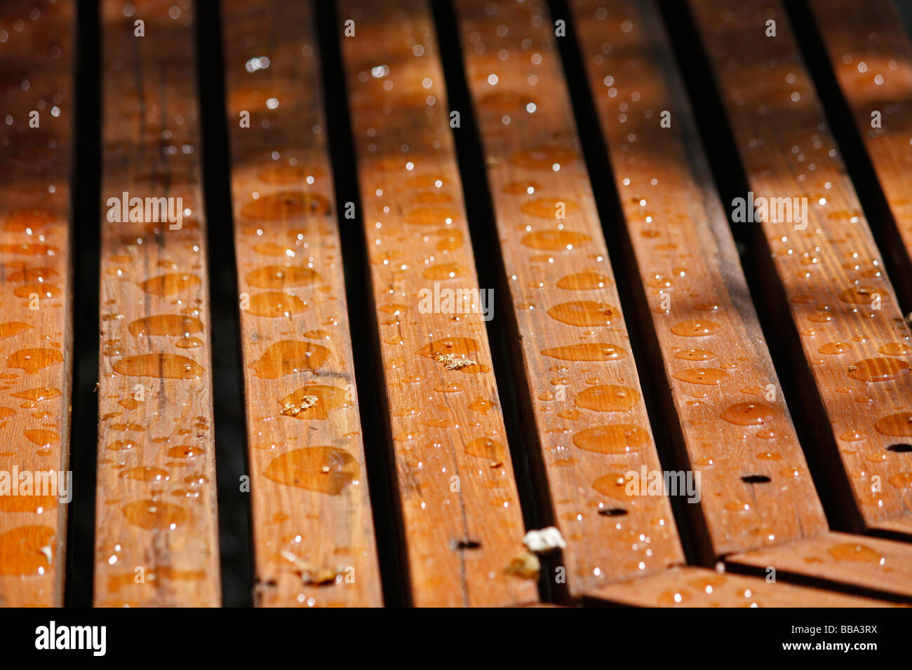 wood bench with water drops Stock Photo - Alamy