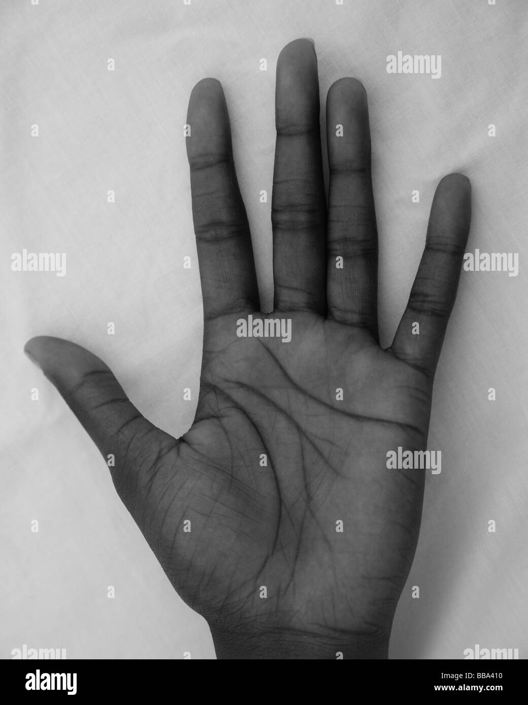 Hand palm lines Black and White Stock Photos & Images - Alamy