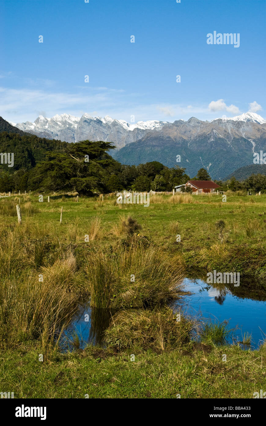 Landscape Whataroa Bridge West Coast South Island New Zealand looking ...