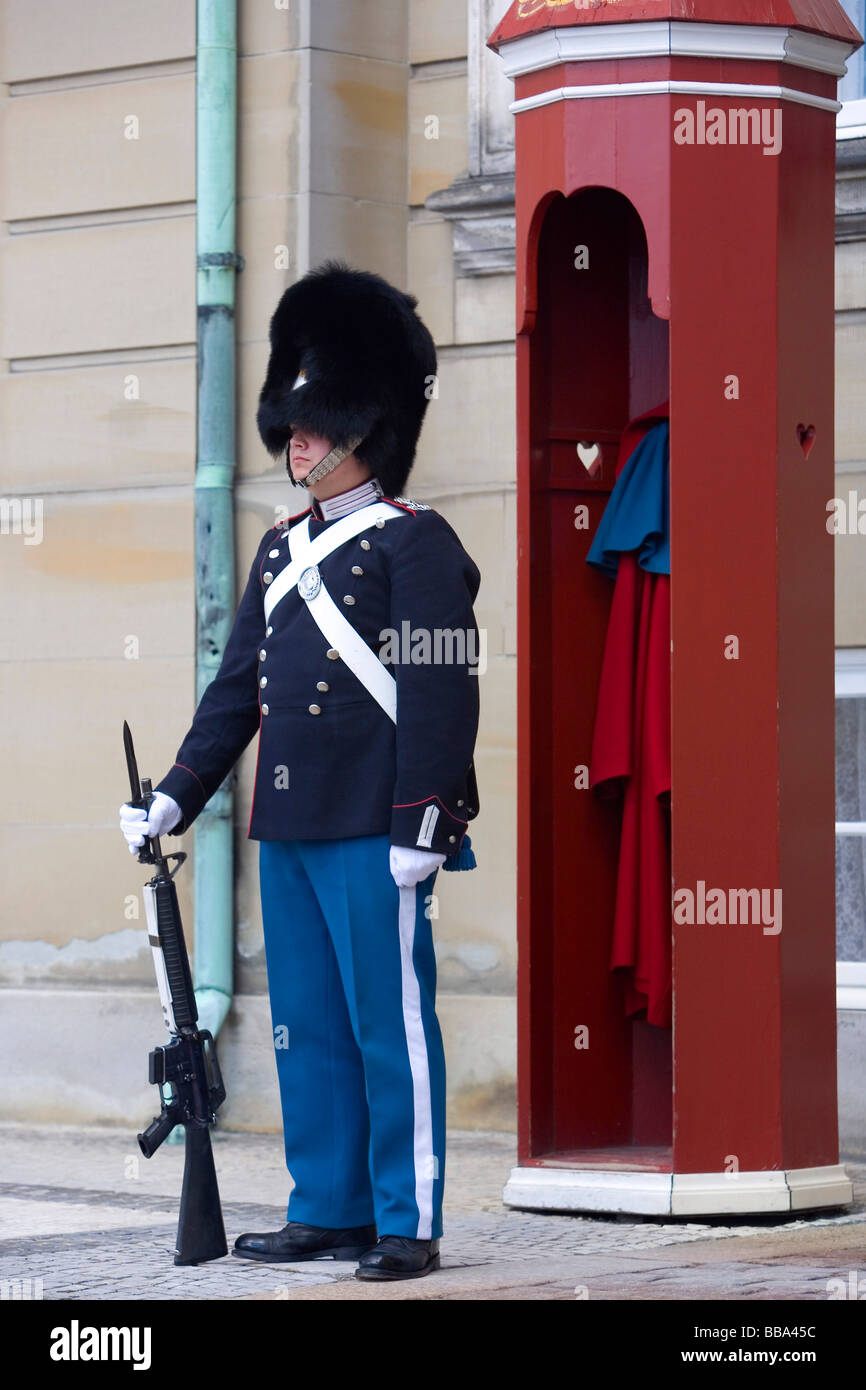 Danish Royal Guard at Amalienborg, Copenhagen, Denmark, Europe Stock ...