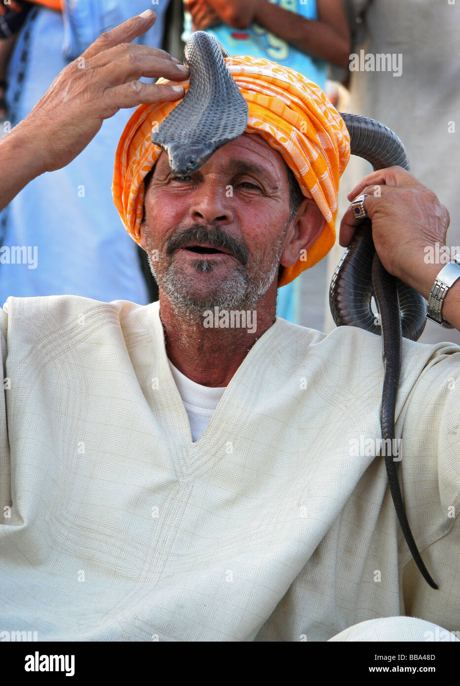 Poisonous snake cobra morocco hi-res stock photography and images - Alamy
