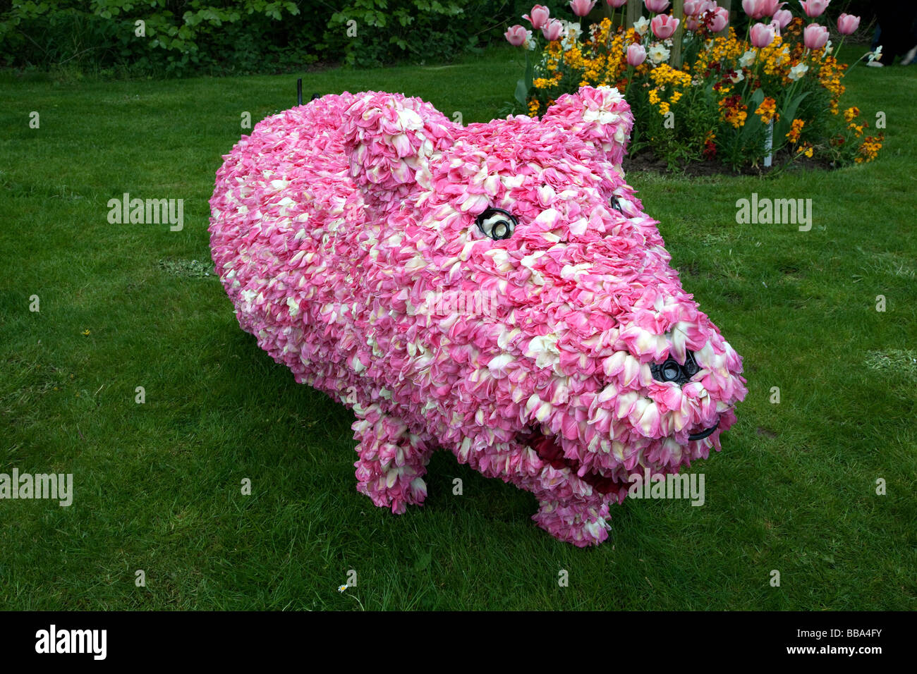 Springfields spalding hi-res stock photography and images - Alamy