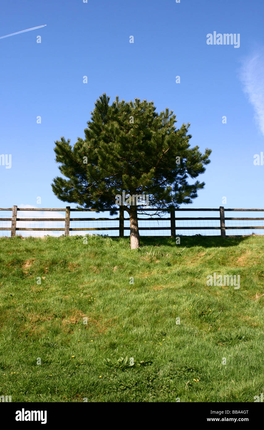Fence on a hill hi-res stock photography and images - Alamy