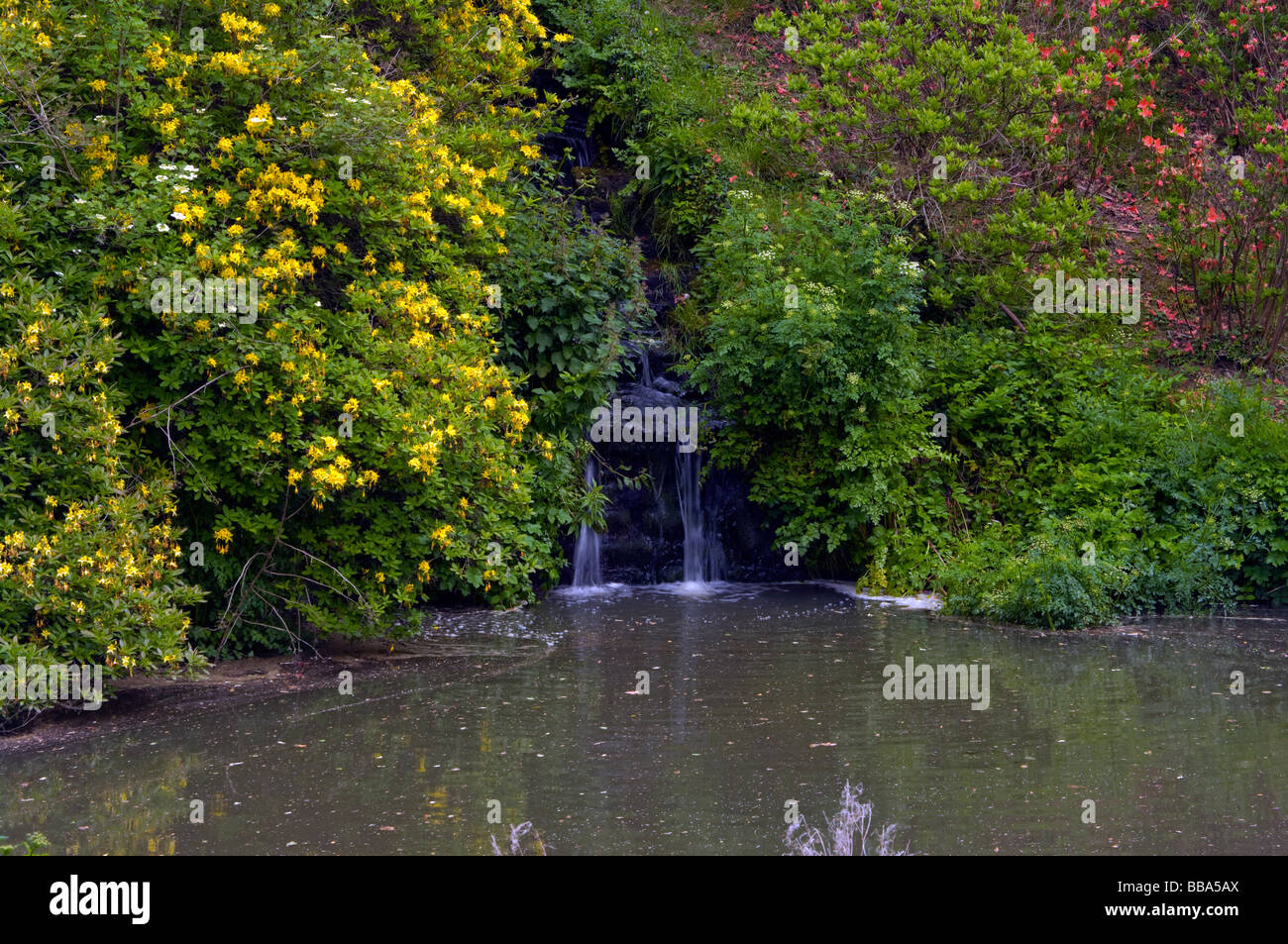 Leonardslee gardens sussex hi-res stock photography and images - Alamy