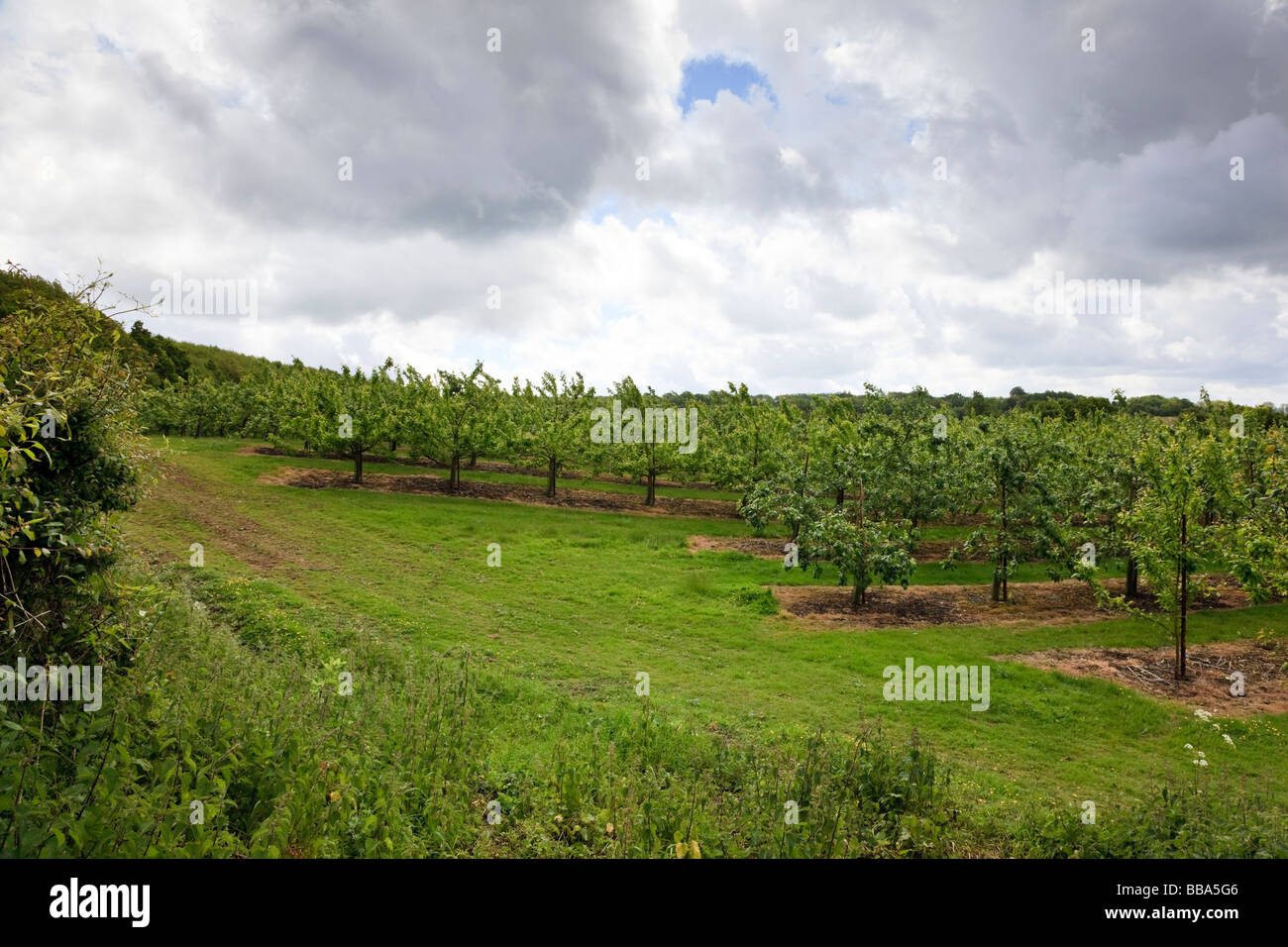 Plaxtol kent hi-res stock photography and images - Alamy