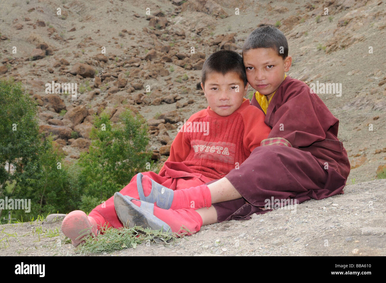Buddhist child monks, Hemis, Northern India, India, Himalayas Stock ...