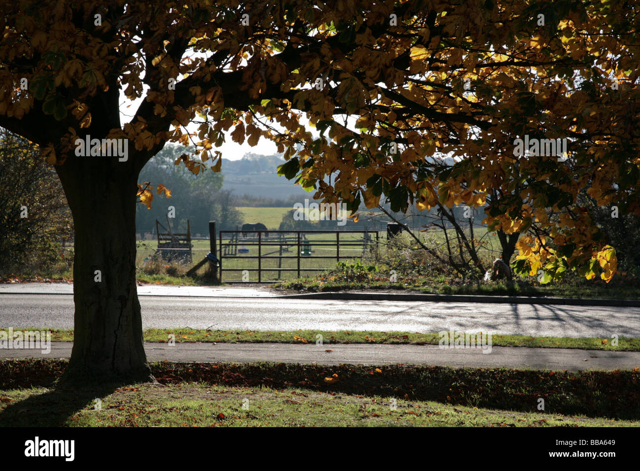 Early autumn morning in rural England Stock Photo - Alamy