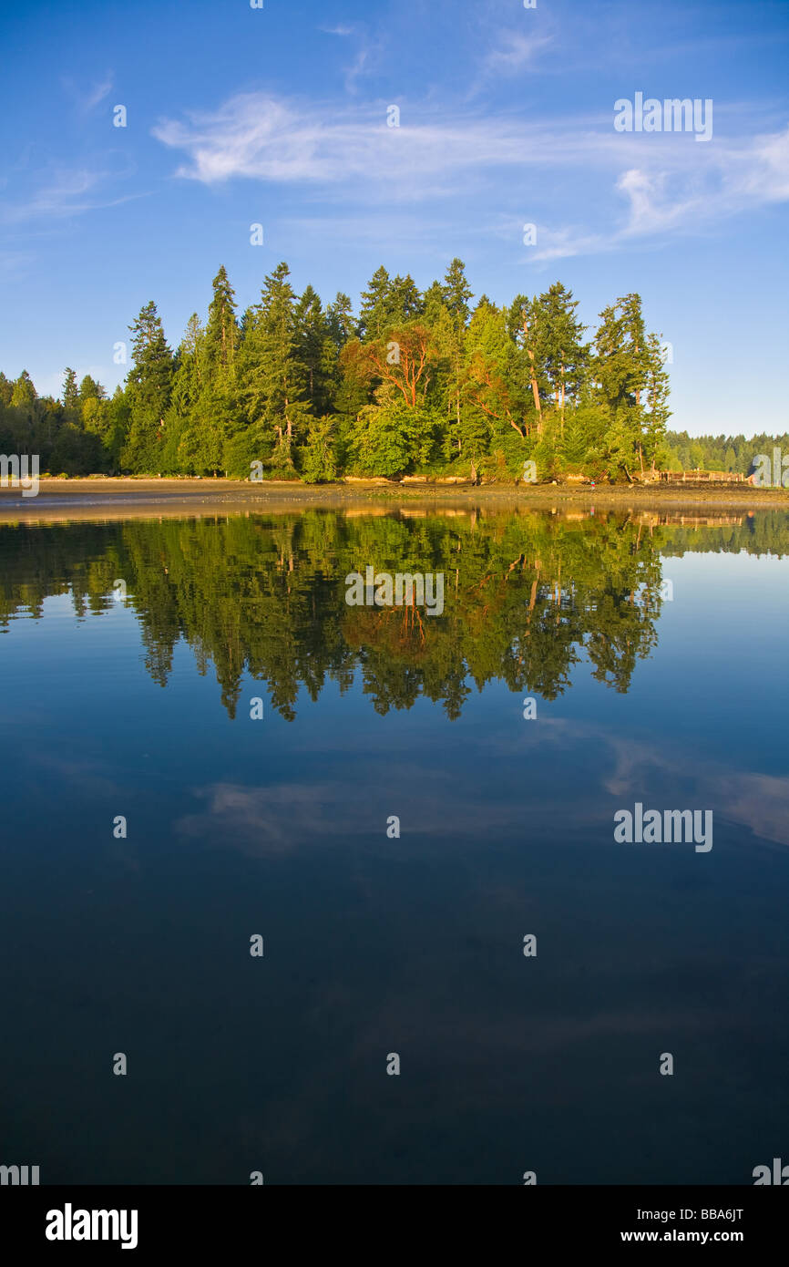 Carr Inlet Puget Sound WA Reflections of shore line at Penrose Point ...