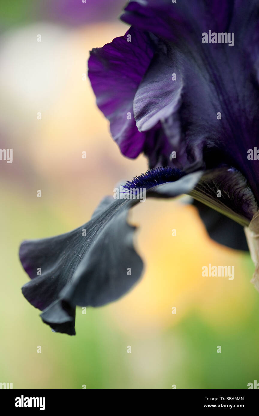 The hello hi-res stock photography and images - Alamy