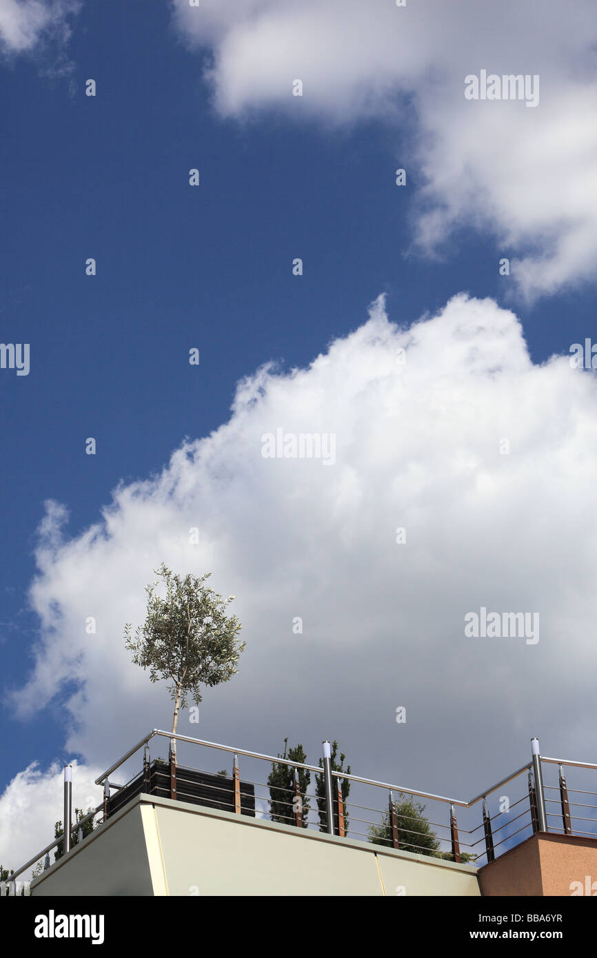 Tree roof hi-res stock photography and images - Alamy