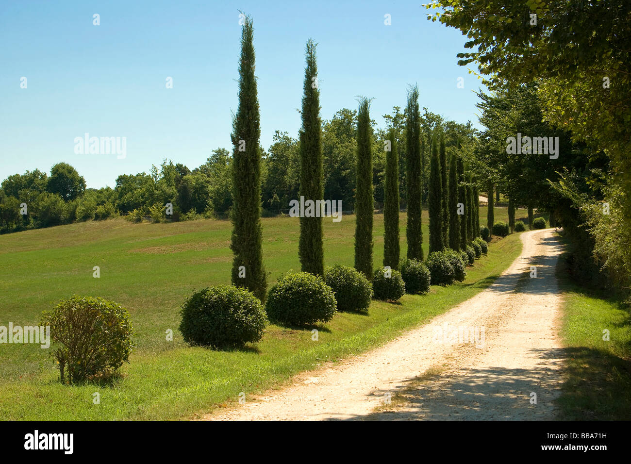 Cypress hi-res stock photography and images - Alamy